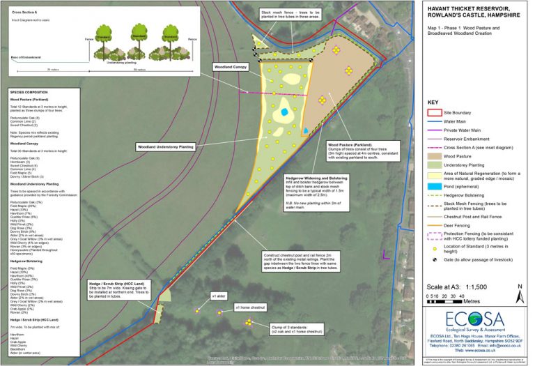 Portsmouth Water creates new woodland habitats at Havant Thicket ...